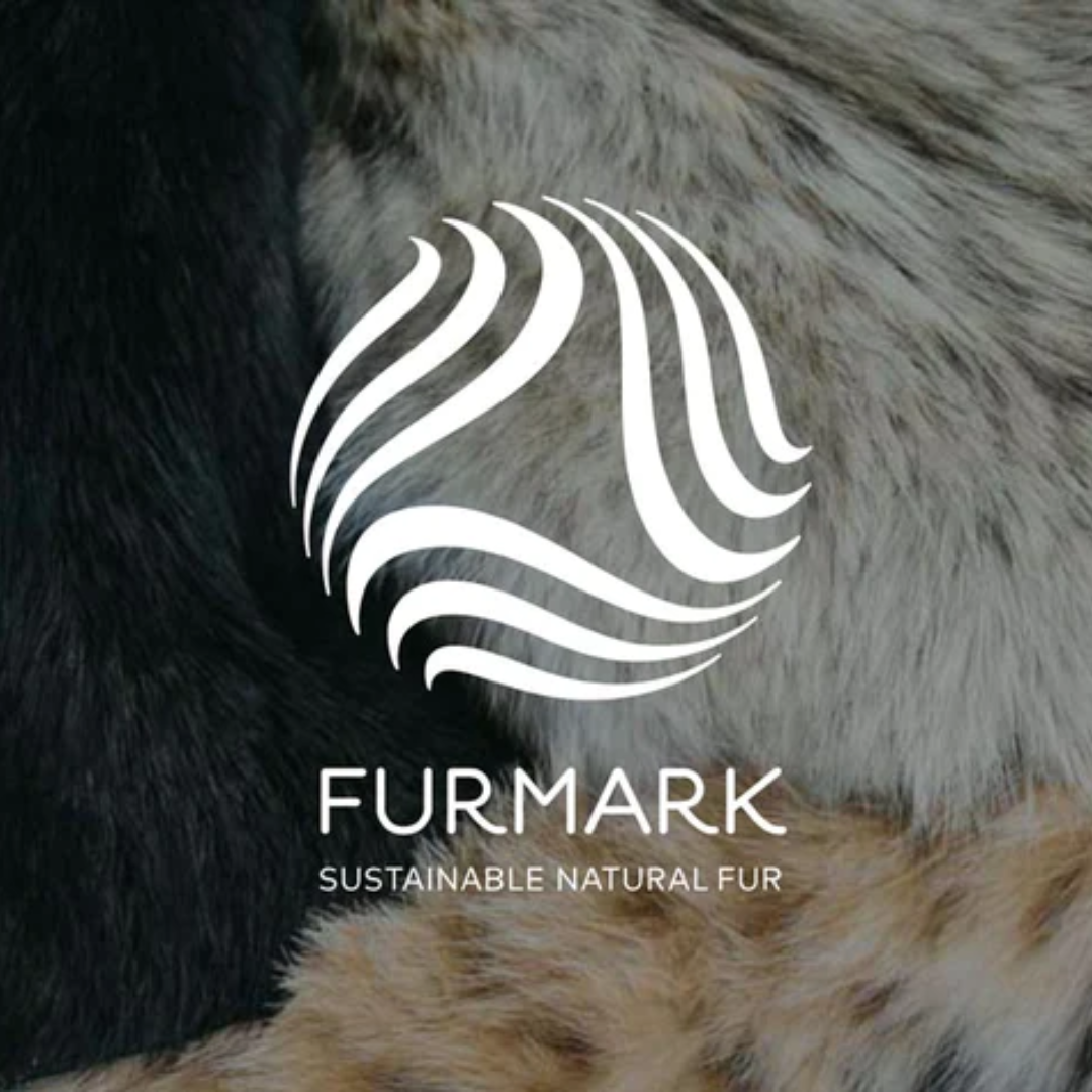 Amorak Italy Offical – AMORAK ITALY